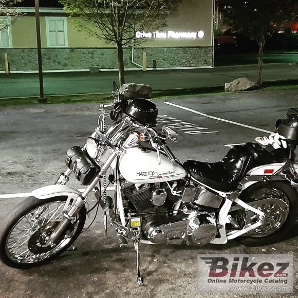 Harley-Davidson FXSTC 1340 Softail Custom gallery